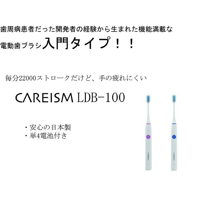 ケアイズム 電動歯ブラシ 乾電池式 LDBー100 :LDB-100:ダブルハピネス - 通販 - Yahoo!ショッピング