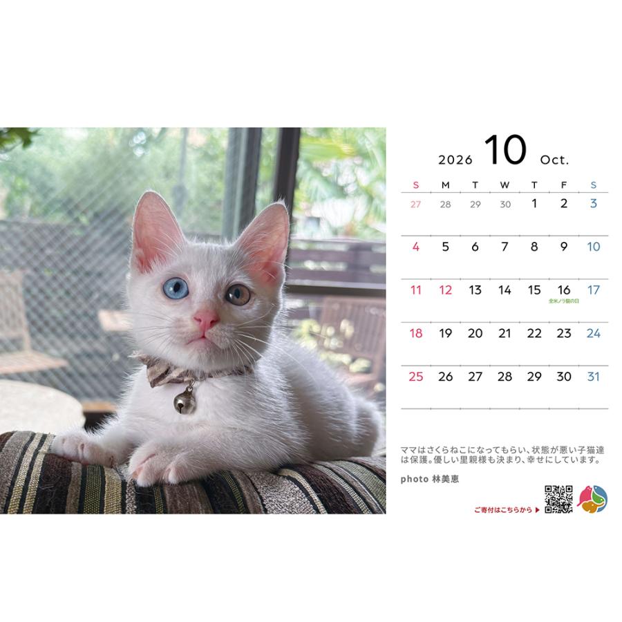 こねこ卓上カレンダー2026 : 公益財団法人どうぶつ基金 - 通販 - Yahoo!ショッピング