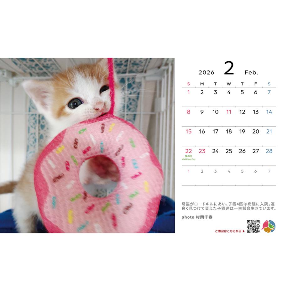 こねこ卓上カレンダー2026 : 公益財団法人どうぶつ基金 - 通販 - Yahoo!ショッピング
