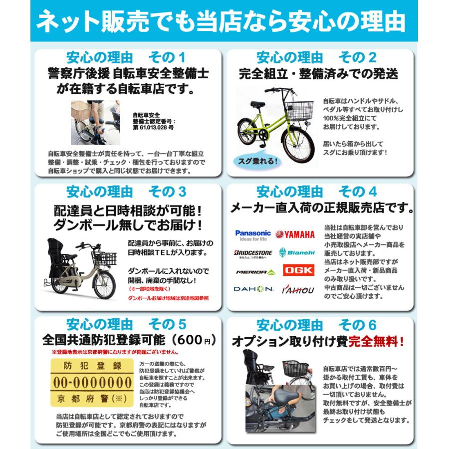 RENAULT ルノー AL209 PLATINUM MACH8 プラチナマッハ8 20×1-1/8 9段変速 GIC 20インチ 折りたたみ コンパクト 軽量 アルミフレーム 自転車 グラス ...