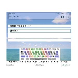 タイピング TypeQuick Professional「USB版」短期間でマスター 学生・社会人に人気 タイプクイック :TQP001:DP ...