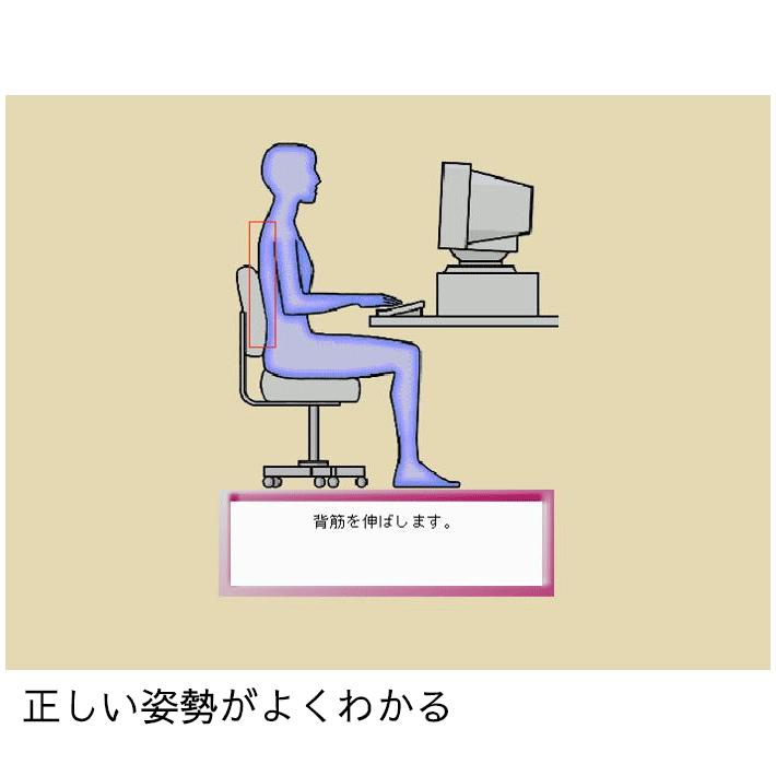 タイピング TypeQuick Professional「USB版」短期間でマスター 学生・社会人に人気 タイプクイック : DPオンライン ...