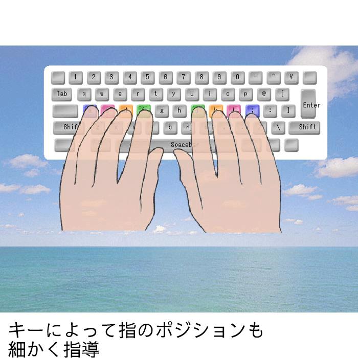 タイピング TypeQuick Professional「USB版」短期間でマスター 学生・社会人に人気 タイプクイック : DPオンライン ...