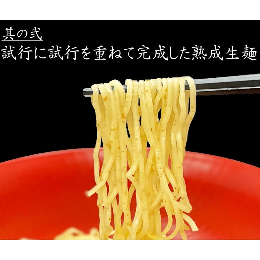 ラーメン 夢麺 生麺 つけ麺 魚介つけ麺 魚介豚骨醤油 つけだれ ラーメンスープ 生ラーメン 4食セット 熟成生麺 110g : ドリームリアライズ - 通販 - Yahoo!ショッピング