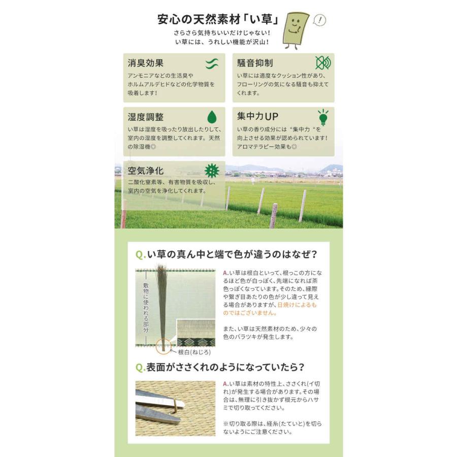 北海道・沖縄・離島配送不可 代引不可 い草カーペット 上敷き 団地間6畳 255×340cm 備前 HAGIHARA 159052060 :4955872736747:スマホカバー専門店 ...