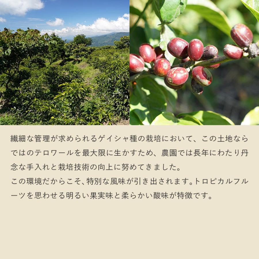 UCC 【予約販売】【ドリップポッド10周年記念！】【公式】 DRIP POD YOUBI 10thアニバーサリーセット | 専用カプセル カプセルコーヒー カプセル式 : UCCドリップ ...