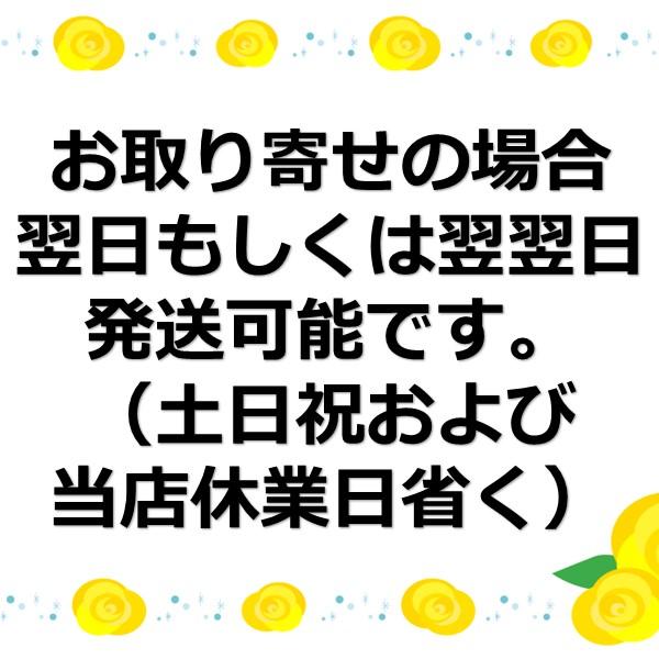 NUTEC NC-40 ニューテック エンジンオイル RACE OIL 5W30 1L 4本セット : ONLINE PARTS ...