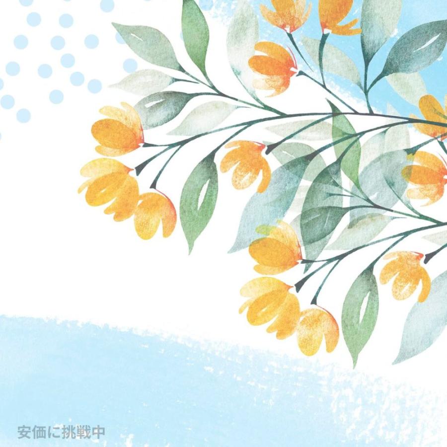 【並行輸入品】3個セット シークレット インビジブルソリッド スプリングブリーズ デオドラント 2.6oz / Secret Invisible Solid Spring Breeze 73g ...