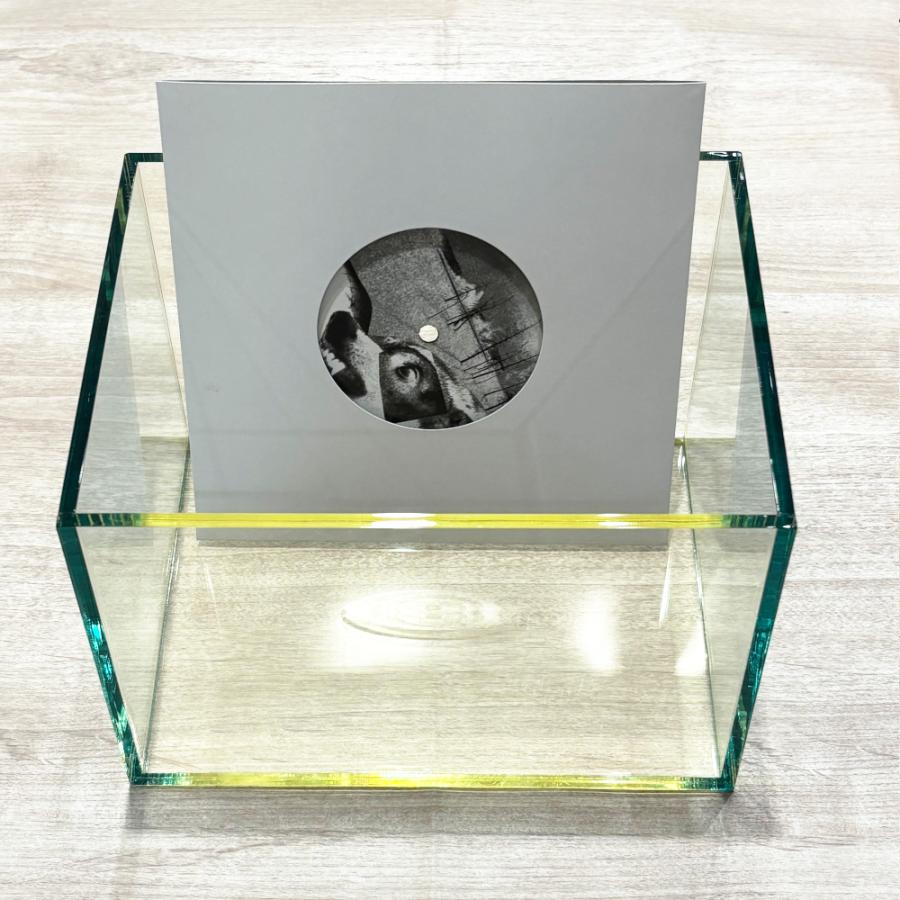 アクリルマルチケース グリーン & イエロー / disk union ディスクユニオン CDラック CD収納 CD保管 EP DVD : ディスクユニオンACC収納ストア - 通販 ...