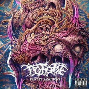 HOTOKE / PRIVATE SANCTIONS [CD] :MTP-2:ぐるぐる王国DS ヤフー店 - 通販 - Yahoo!ショッピング