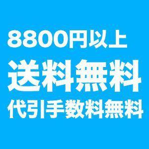 PANTONE（パントン） カラースペシファイヤー ページ 1.001 色番号 11-0601TPG 11-0608TPG 11 ...