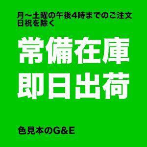 PANTONE（パントン） カラースペシファイヤー ページ 1.039 色番号 13-4108TPG 14-4104TPG 15 ...