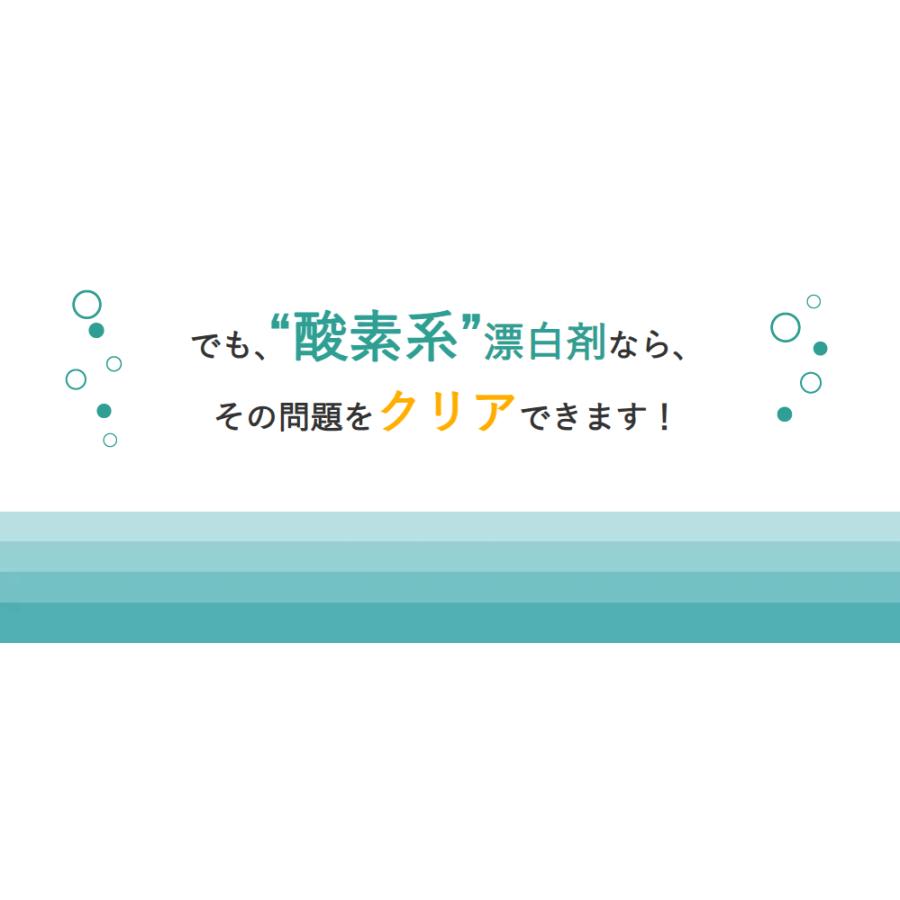 シャボン玉石けん シャボン玉 酸素系漂白剤 750g 20個セット ナチュラルクリーニング 洗濯用洗剤 洗濯用品 台所用洗剤 酸素系 漂白剤 粉末 キッチン : yamatoya - 通販 ...