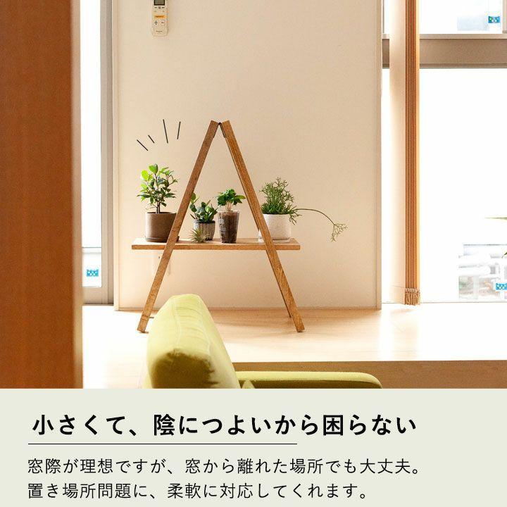 お部屋で育てる、香りも楽しむローリエ（月桂樹） :gd2705:e-花屋さん - 通販 - Yahoo!ショッピング
