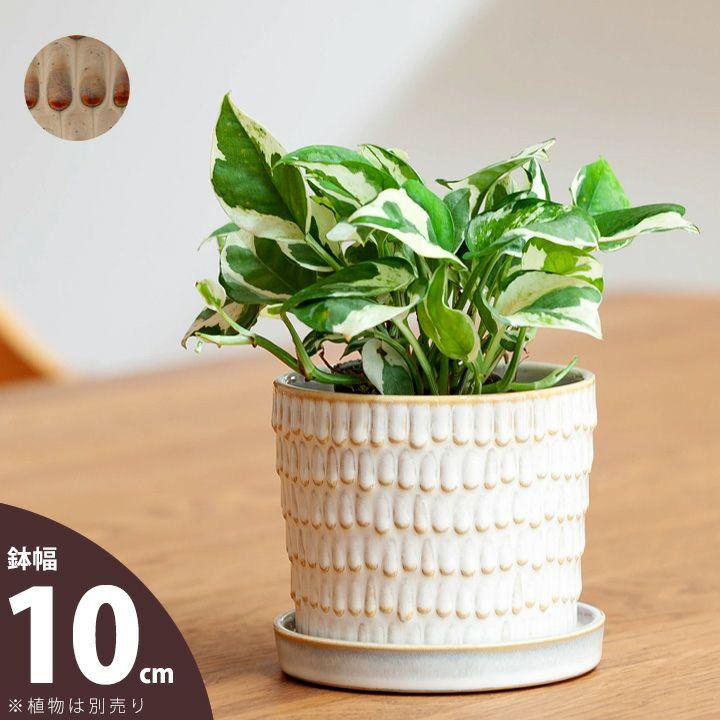 鉢 植木鉢 おしゃれ 室内 陶器鉢 ウロコ模様の愛らしい陶器鉢S（10.5cm) : e-花屋さん - 通販 - Yahoo!ショッピング
