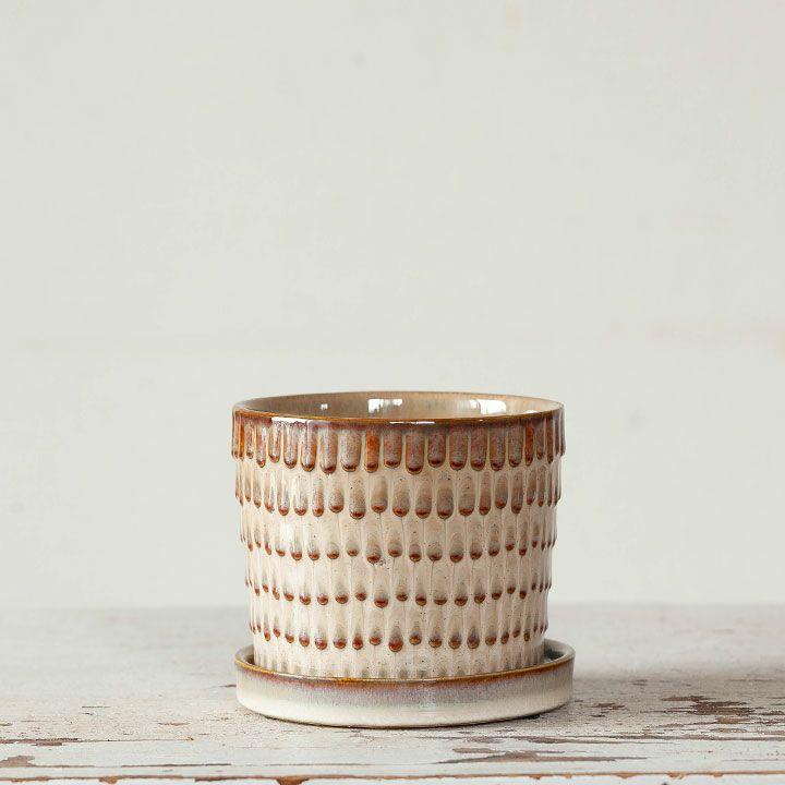 鉢 植木鉢 おしゃれ 室内 陶器鉢 ウロコ模様の愛らしい陶器鉢S（10.5cm) : e-花屋さん - 通販 - Yahoo!ショッピング