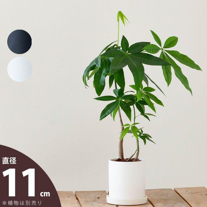 鉢 植木鉢 陶器 おしゃれ 室内 鉢カバー 白 黒 鉢植え 定番！マット調・シリンダー植木鉢S（11cm） : e-花屋さん - 通販 - Yahoo!ショッピング