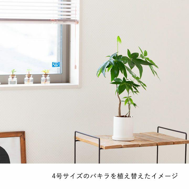 鉢 植木鉢 陶器 おしゃれ 室内 鉢カバー 白 黒 鉢植え 定番！マット調・シリンダー植木鉢S（11cm） : e-花屋さん - 通販 - Yahoo!ショッピング