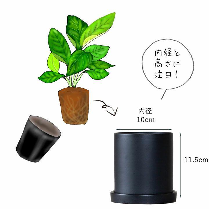 鉢 植木鉢 陶器 おしゃれ 室内 鉢カバー 白 黒 鉢植え 定番！マット調・シリンダー植木鉢S（11cm） : e-花屋さん - 通販 - Yahoo!ショッピング