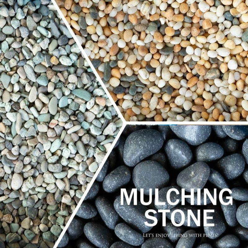 土を隠してお洒落に見せる「化粧砂利」460g : e-花屋さん - 通販 - Yahoo!ショッピング