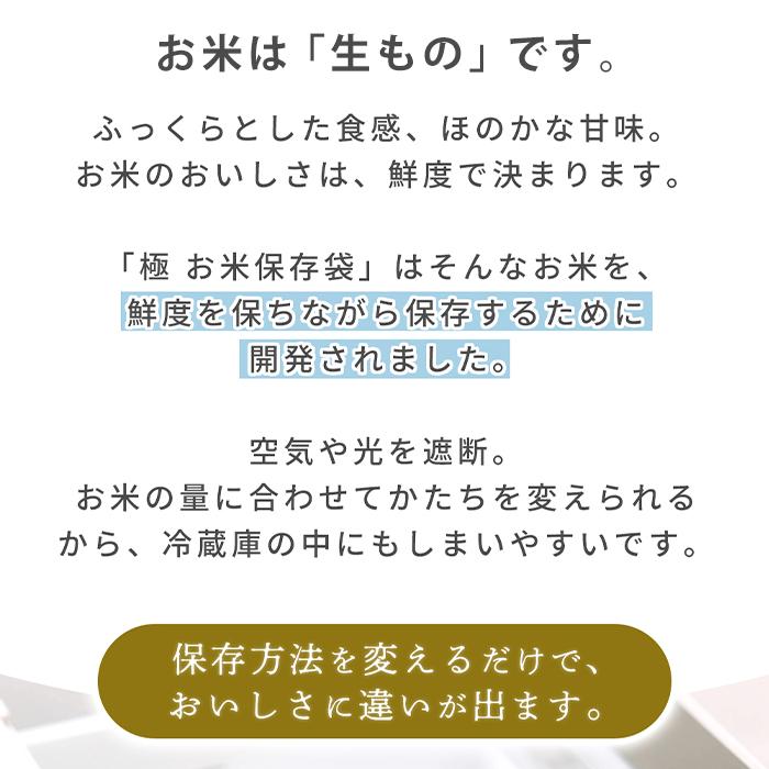 marna マーナ 極 お米保存袋 3kg 2枚入り K737 米びつ 米櫃 おしゃれ スリム こめびつ ライスストッカー 密閉保存容器 コンパクト 米袋 : ヤマソロ ホームライフ店 ...