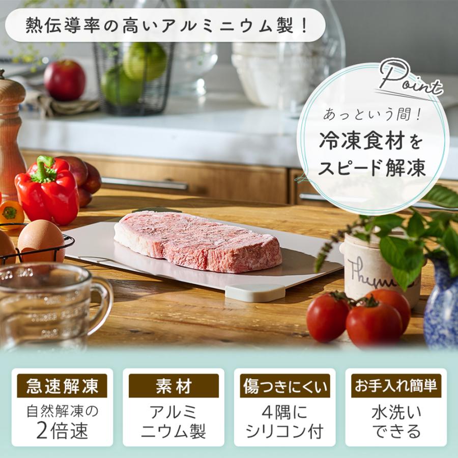 Toffy toffy トフィー 解凍プレート 急速解凍 冷解食品解凍 粗熱 K-KU23 家庭用 急速 解凍 肉 魚 お弁当 粗熱取り ...