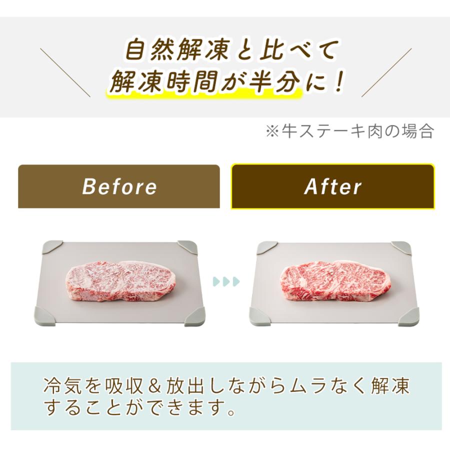 Toffy toffy トフィー 解凍プレート 急速解凍 冷解食品解凍 粗熱 K-KU23 家庭用 急速 解凍 肉 魚 お弁当 粗熱取り ...