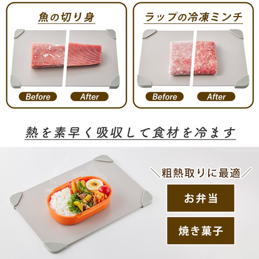Toffy toffy トフィー 解凍プレート 急速解凍 冷解食品解凍 粗熱 K-KU23 家庭用 急速 解凍 肉 魚 お弁当 粗熱取り ...