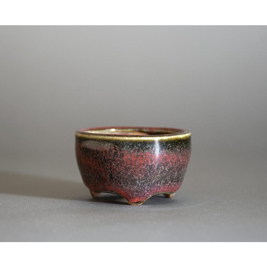 豆盆栽鉢 辰砂釉丸盆栽鉢 小さな盆栽鉢 小鉢 國井正子盆栽鉢 p1053 : e-盆栽 ヤフー店 - 通販 - Yahoo!ショッピング