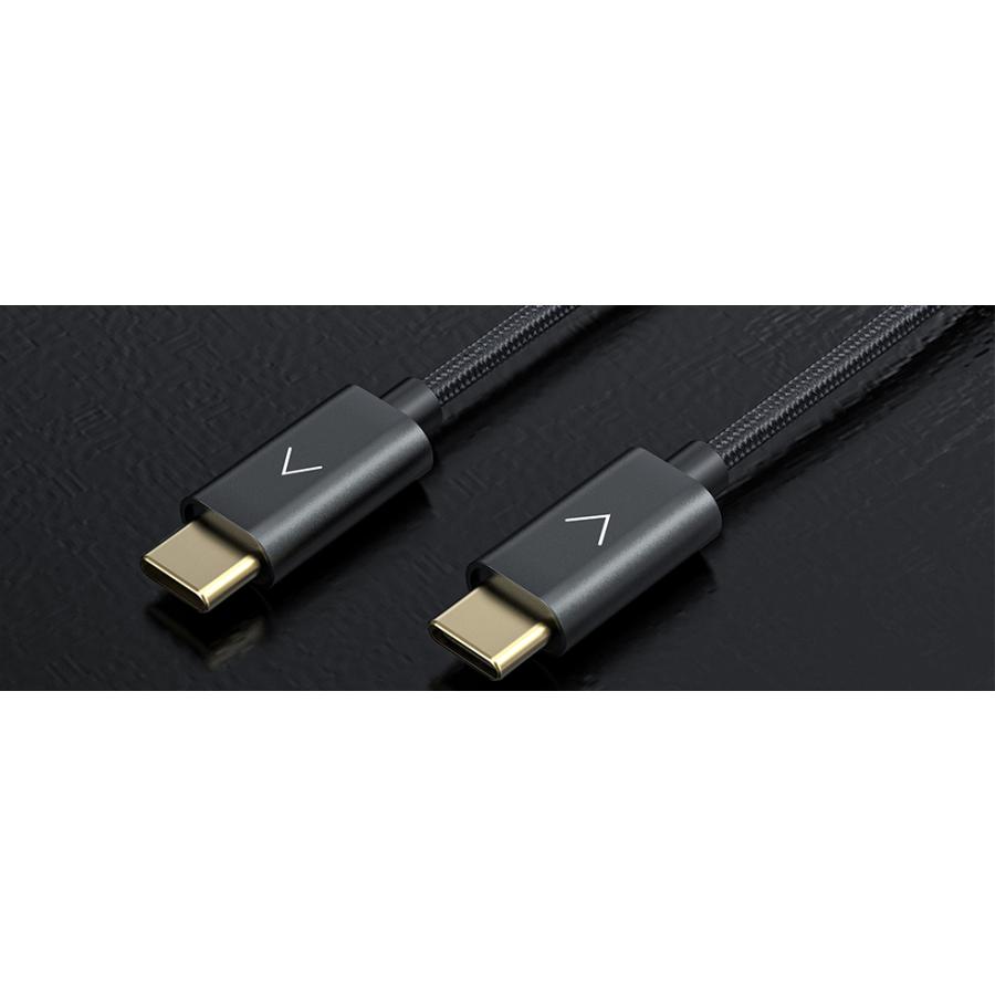 FiiO（フィーオ） OTGケーブル LT-TC4 (Type-C to Type-Cケーブル) (FIO-LT-TC4) OTG ケーブル ...