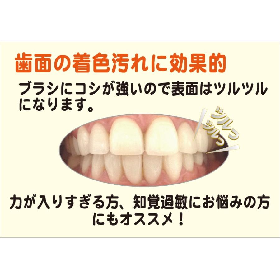 KENT IKMT 豚毛歯ブラシ IKT-9833 イケモト 天然毛 獣毛 オーラルケア 旧KENT : 地球ながもち屋-Yahoo!店 - 通販 - Yahoo!ショッピング