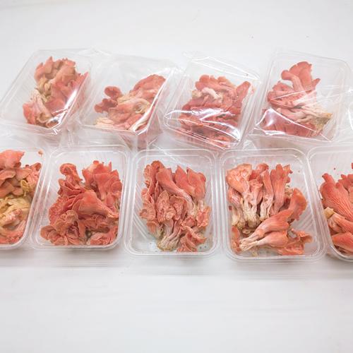 とき色ひらたけ Pro 送料無料 60gx10パックセット ピンク色が鮮やかなひら茸の高級品種 長野県産 : 02to20pa : イーファーマーズ - 通販 - Yahoo!ショッピング