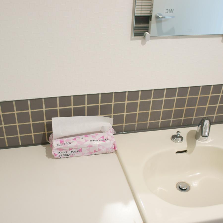 【法人限定】業務用 ペーパータオル 小判 エコノミーサイズ 200枚入×40パック 8000枚 紙タオル 手拭き 大容量 まとめ買い 介護施設_90WS64.1160-40 ...