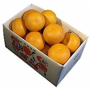 栗山園の八朔3Lサイズ7Kg : has-3l7 : 心斎橋花房ヤフー店 - 通販 - Yahoo!ショッピング