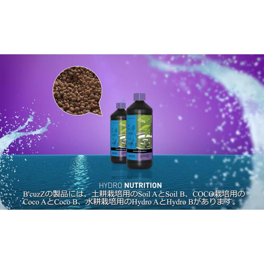 B'CUZZ COCO(ビーカズ ココ) A液 B液 各500ml ATAMI COCO栽培 肥料 :4595987105061:e-hanas(イーハナス)Yahoo!店 - 通販 ...