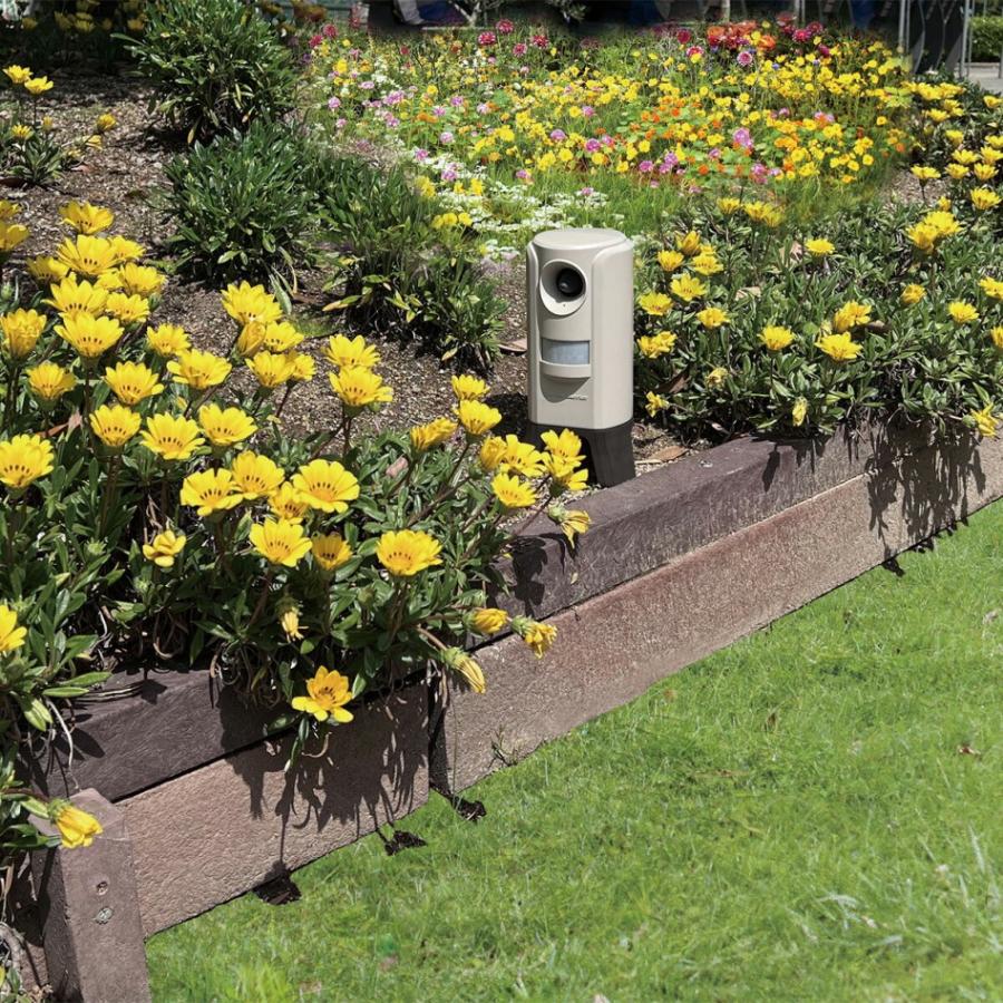 ユタカメイク 猫よけ 超音波 ガーデンバリア3 GDX-3 ガーデンバリア 猫よけ対策 猫除け 猫 ハクビシン 撃退 動物よけ センサー 野良猫対策 : e-hanas(イーハナス)Yahoo ...