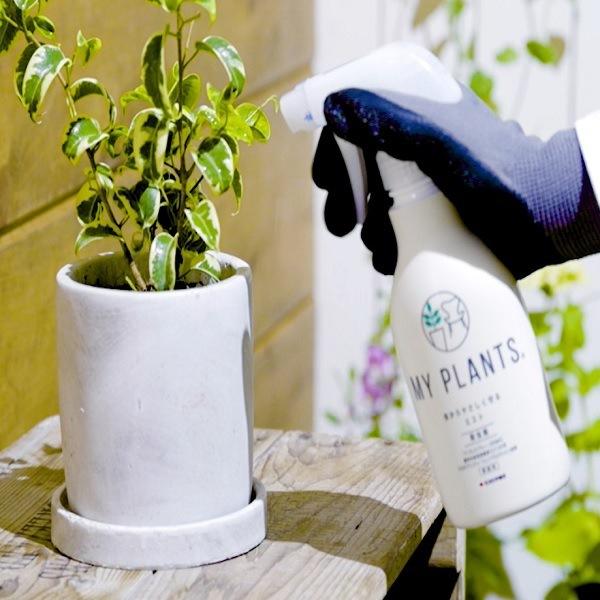 MY PLANTS 虫からやさしく守るミスト 250ml 住友化学園芸 殺虫剤 :4975292604143:e-hanas(イーハナス)Yahoo!店 - 通販 - Yahoo!ショッピング