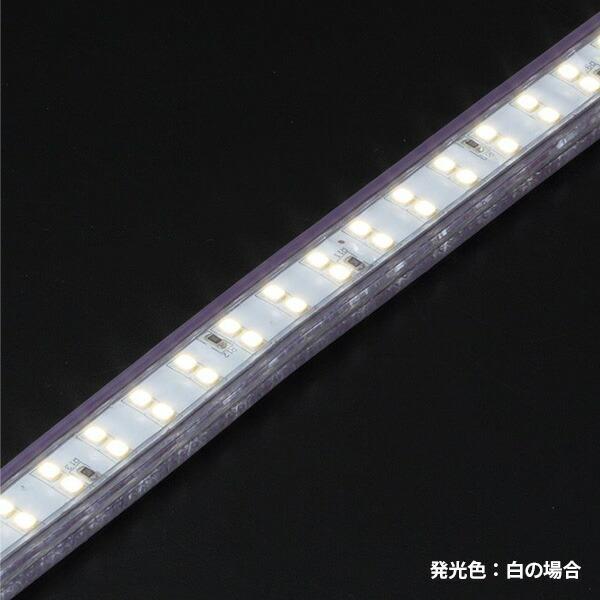 HATAYA LEDテープライト片面発光タイプ(単体・赤) LTP-10(R) LED 照明 テープライト ハタヤ : くらしのeショップ - 通販 - Yahoo!ショッピング