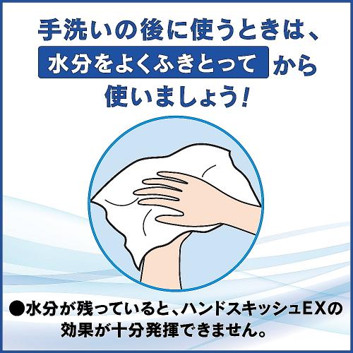 花王 ハンドスキッシュEX つけかえ用 800ml 業務用×6本 : みやこオンラインショッピング - 通販 - Yahoo!ショッピング
