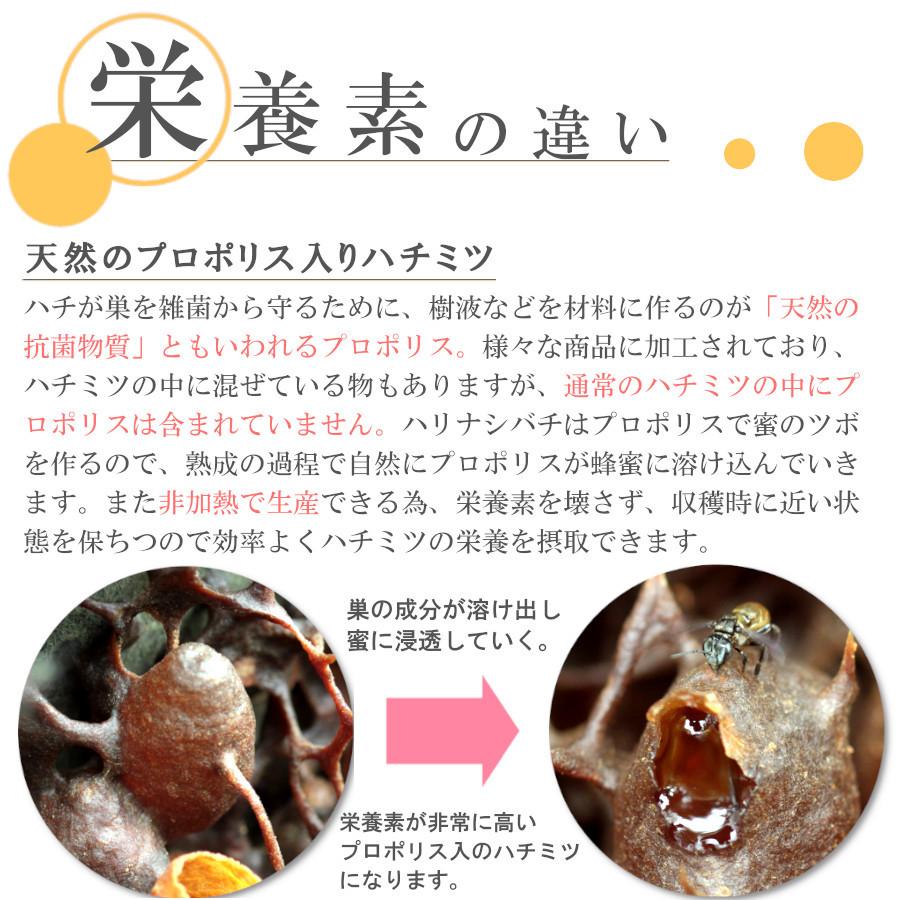 はちみつ プロポリス 蜂蜜 無農薬 非加熱 低糖質 健康 ハチミツ ハリナシバチ 100g2本 40g2本 蜜林堂 : 神戸御影青果 - 通販 - Yahoo!ショッピング