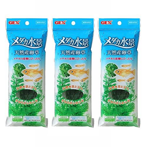 ジェックス GEX メダカ元気 メダカ水景 天然産卵草*3個セット : wss-55ut2imcqum1 : e-SELECT DEPOT - 通販 - Yahoo!ショッピング