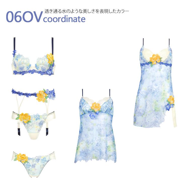 サルート ワコール 06G スタンダード ショーツ 新作 セール 下着 ML BTJ406 : アイム下着屋 - 通販 - Yahoo!ショッピング