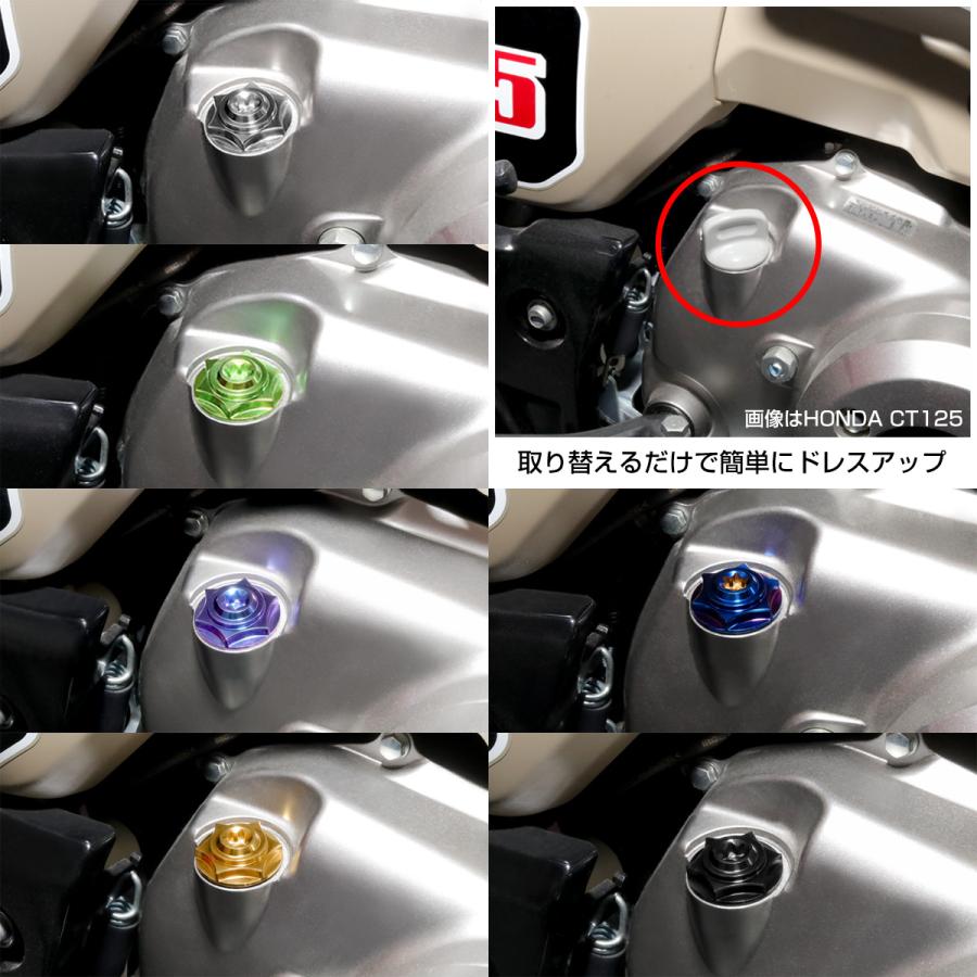 ホンダ 64チタン オイルフィラーキャップ M20 P2.5 スターヘッド トルクス穴 汎用 ブラック JA1853 : オートパーツ専門店 EALE store - 通販 - Yahoo ...