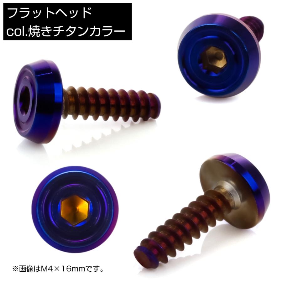 タッピングネジ M4×12mm SUS304 ステンレス フラットヘッド 六角穴 フランジ付き ネジ 焼きチタンカラー TC0176 : オートパーツ専門店 EALE store - 通販 ...