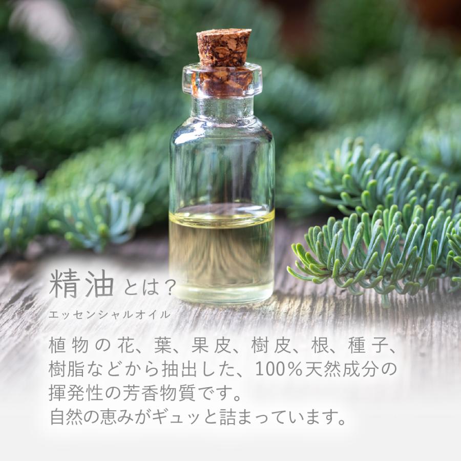 アースコンシャス アロマ エプソムソルト〜シルバーフォレスト【2kg/20回分】8種類の天然精油を贅沢に配合したアロマ エプソムソルト 送料無料 : アースコンシャスYahoo!店 - 通販 ...