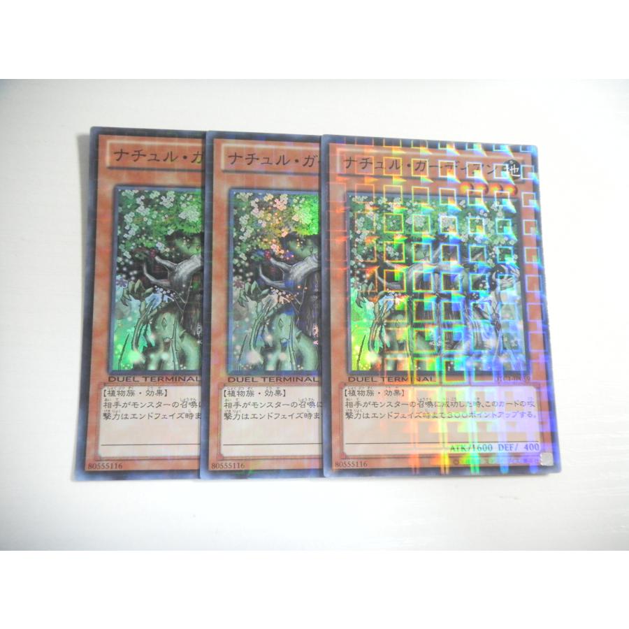 BZ4【遊戯王】ナチュル・ガーディアン DTC1-JP059 3枚セット スーパーレア 即決 : E-asta イーストア - 通販 - Yahoo!ショッピング