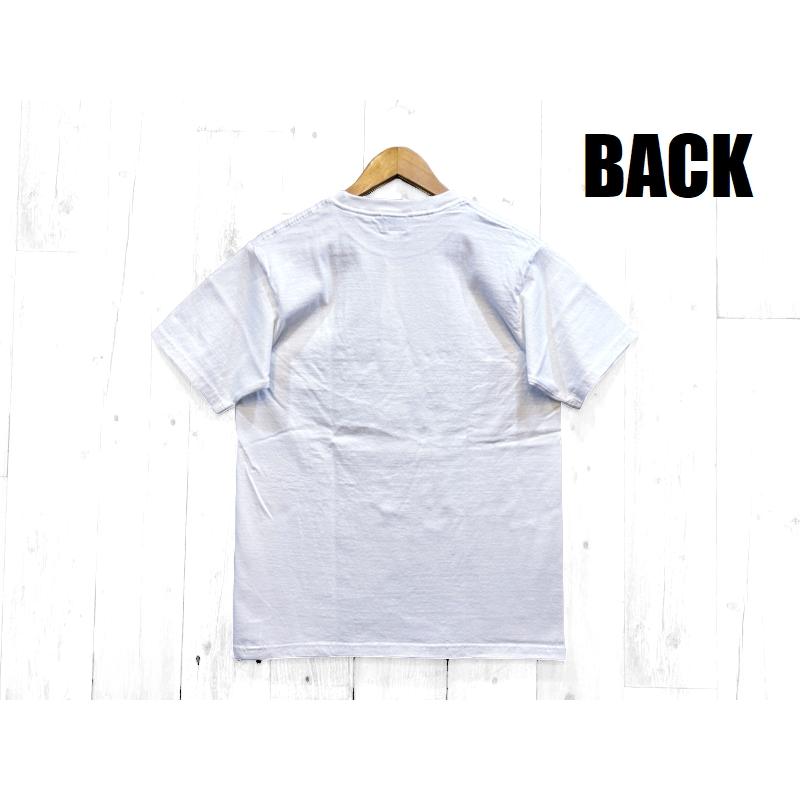 Pherrow's フェローズ バッファローロゴグラデーションプリントTシャツ EASY NAVY 24S-PT2-G 半袖 メンズ アメカジ 送料無料 : EASY NAVY ヤフー ...