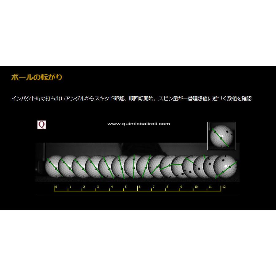 HONMA GOLF（本間ゴルフ） 日本仕様 ホンマ SAKATA LAB サカタラボ SL-001 ブレード パター 純正スチール ...