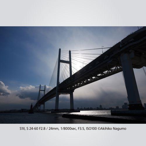 【長期5年保証付】パナソニック(Panasonic) LUMIX S1II DC-S1M2 デジタル一眼カメラ ボディ 部分積層型CMOS ...