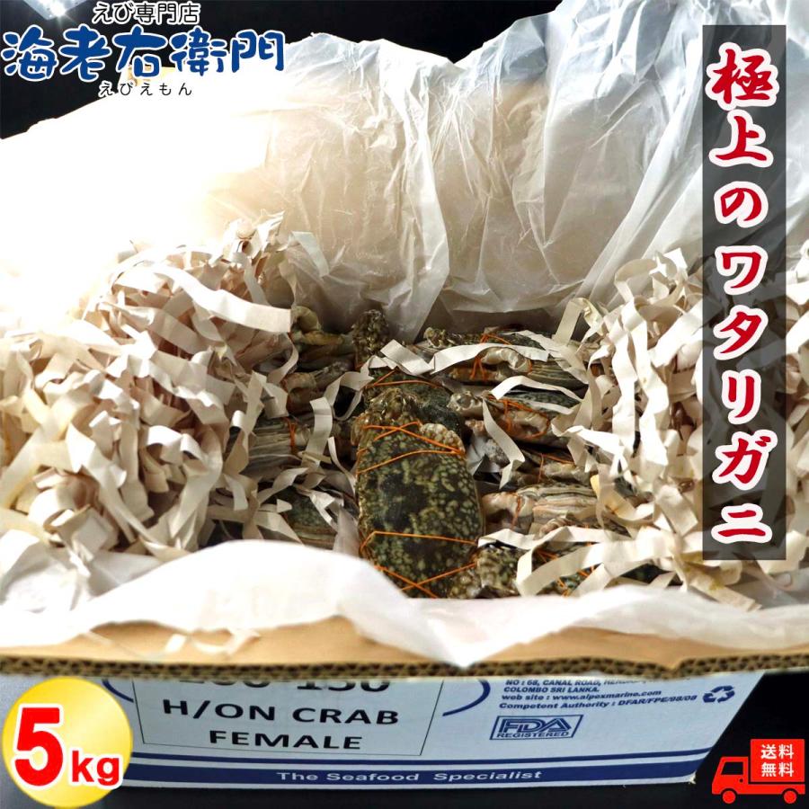 メス限定！極上のワタリガニ スリランカ産 匹100-150g 5kg 40匹前後（1kg約8匹）メス 韓国料理 カンジャンケジャン風 渡り蟹 わたりがに 冷凍 加熱用 業務用 : えび専門店 ...